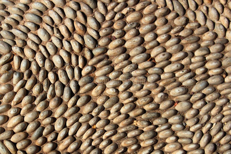 Small White Pebbles on a Pavement. Decorative Cobblestones As a ...