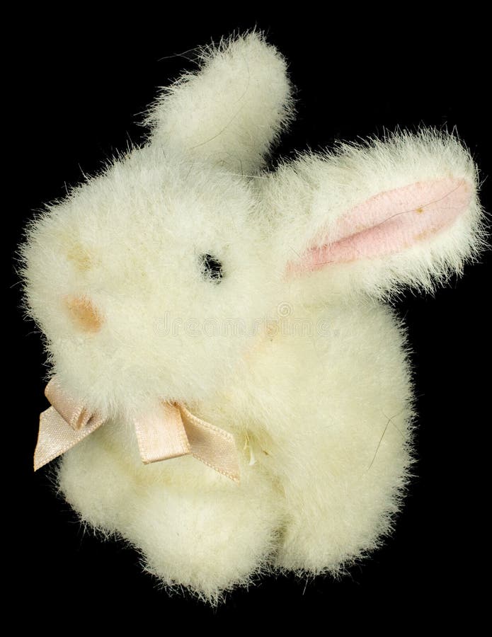 Fuzzy Bunny Toy stock image. Image of black, plush, isolated - 107467853