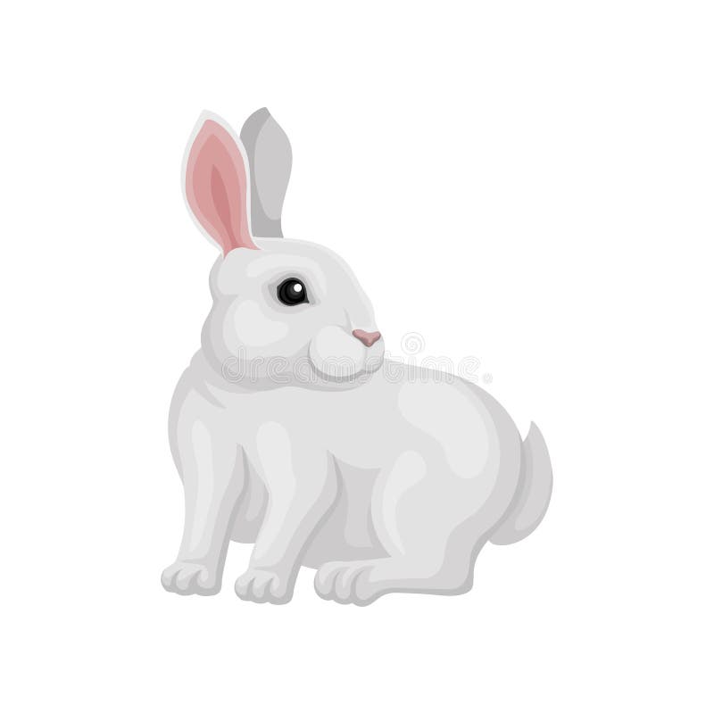 Side View White Bunny Stock Illustrations – 259 Side View White Bunny ...