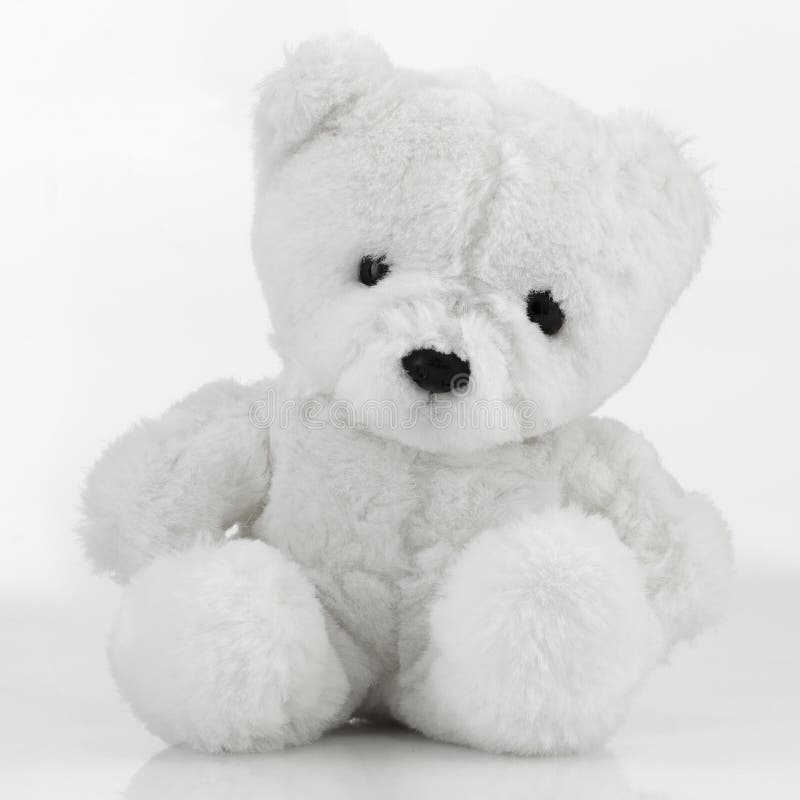 Small White Teddy Bear on White Stock Photo - Image of sitting, plush ...
