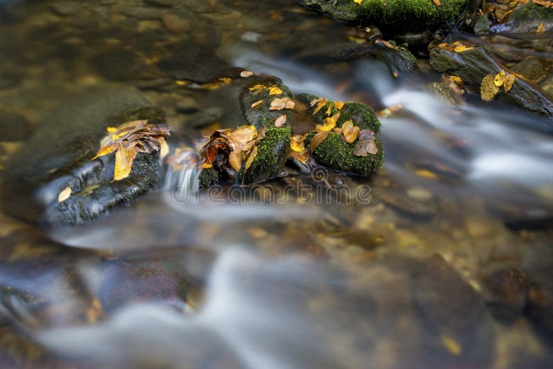 A Small White Water Stream with Fall Leaves. Stock Photo - Image of ...