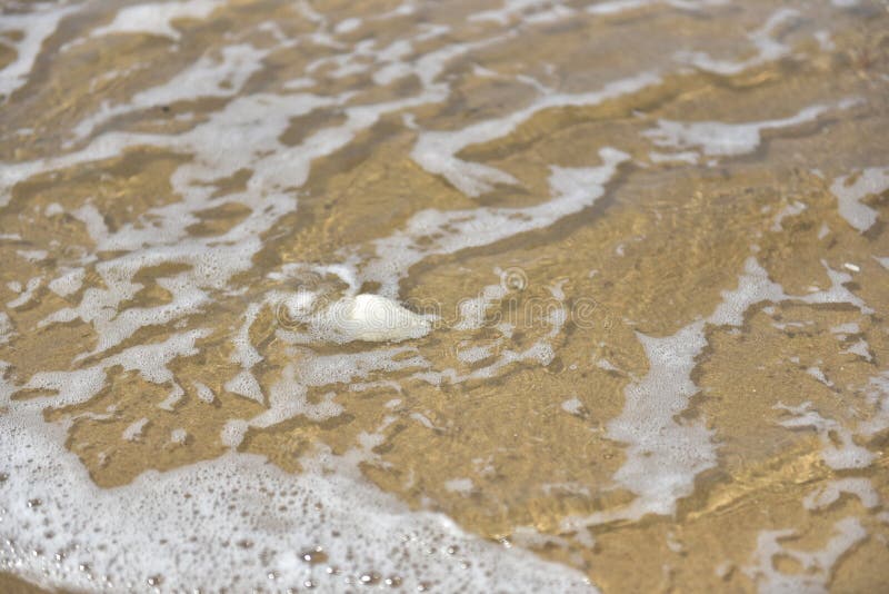 Small White Wave Bubble on the Beach Stock Image - Image of beach ...
