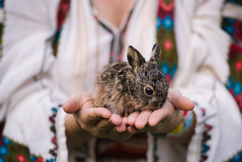 Aboriginal Motifs Photos - Free & Royalty-Free Stock Photos from Dreamstime