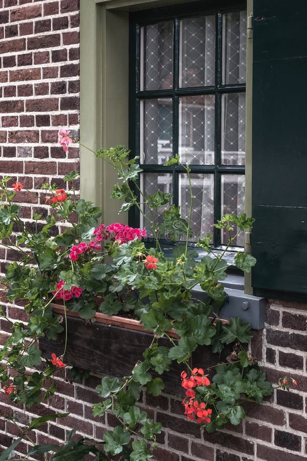 A Small Window Decorated with Hanging Planters and Blooming Geraniums ...