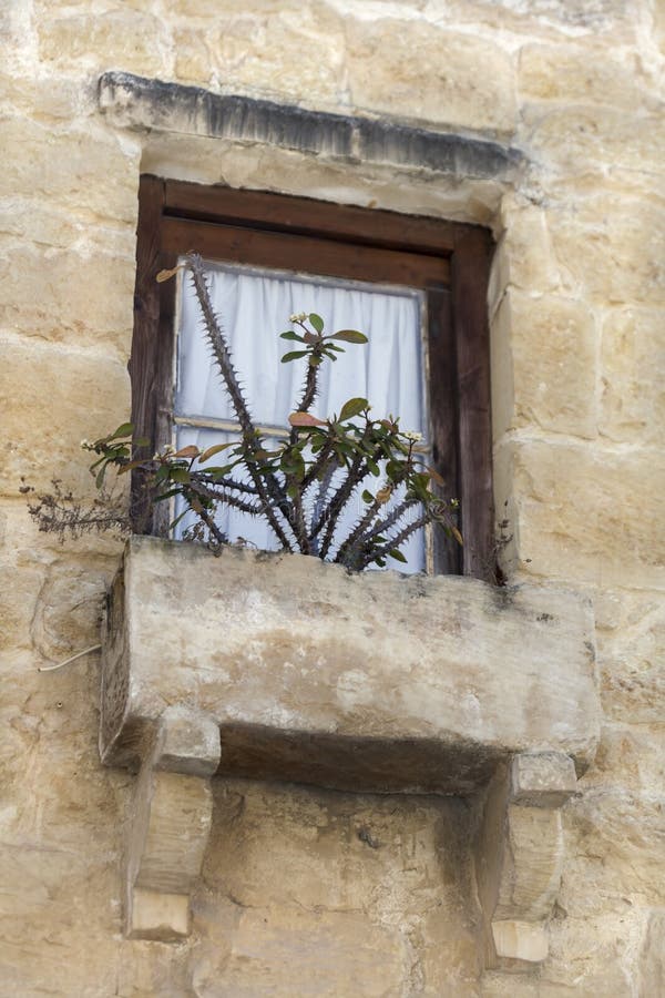 Small window stock photo. Image of ornament, shadow, cactus - 48476332