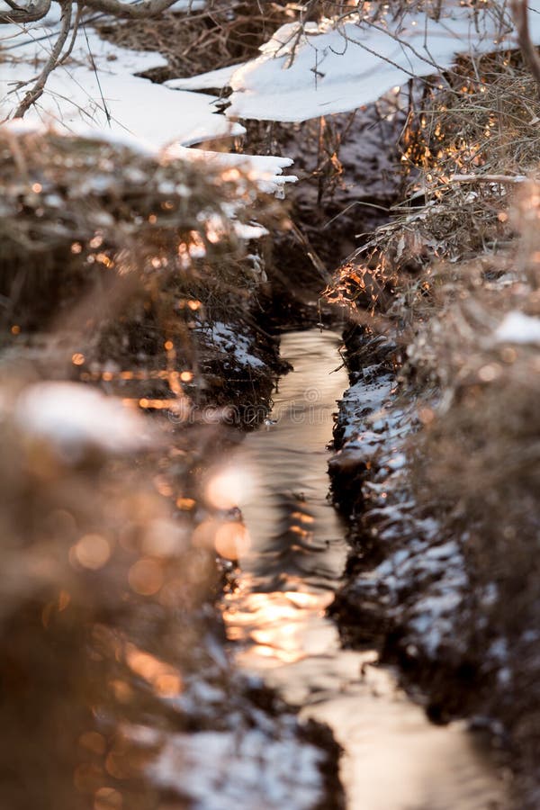 Winter Brook stock image. Image of oregon, wooden, sisters - 91828157