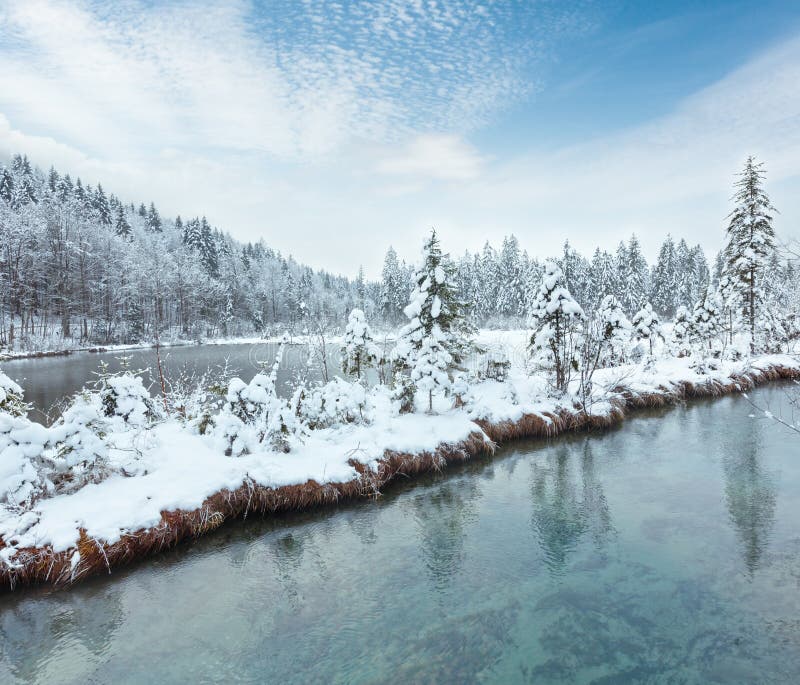 Small Winter Stream with Snowy Trees Stock Photo - Image of clouds ...