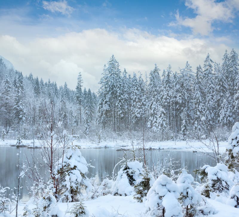 Small Winter Stream with Snowy Trees Stock Image - Image of river ...