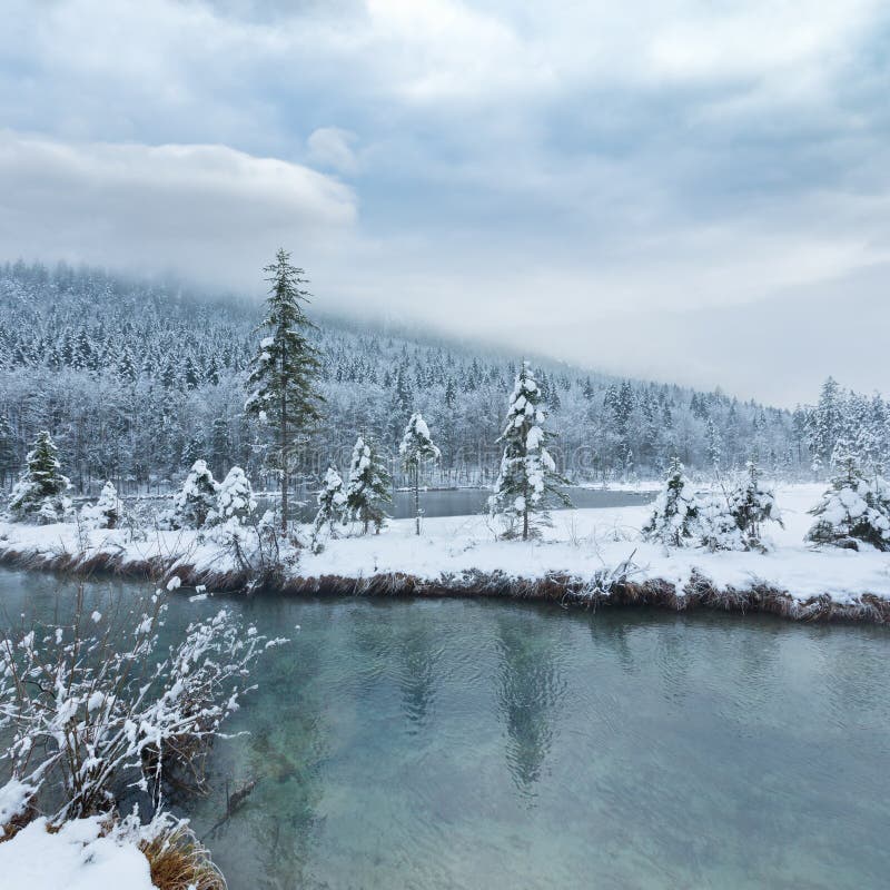 Small Winter Stream with Snowy Trees Stock Image - Image of beautiful ...