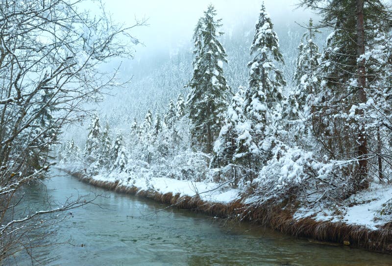 Small Winter Stream with Snowy Trees. Stock Photo - Image of outdoor ...