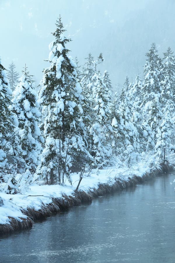 Small Winter Stream with Snowy Trees. Stock Image - Image of outdoor ...