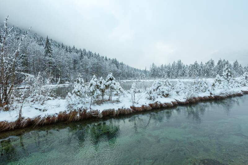 Small Winter Stream with Snowy Trees. Stock Photo - Image of cloudy ...