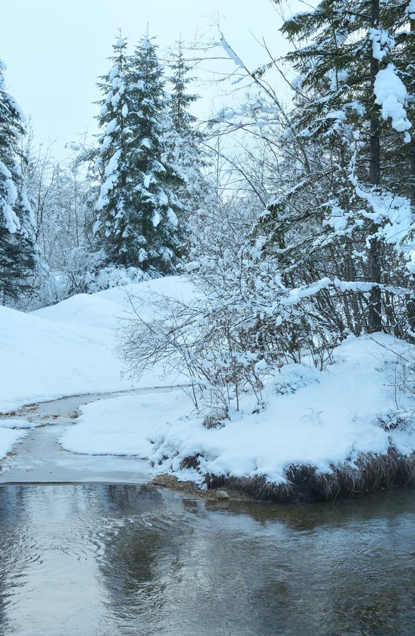 Small Winter Stream with Snowy Trees. Stock Photo - Image of stream ...