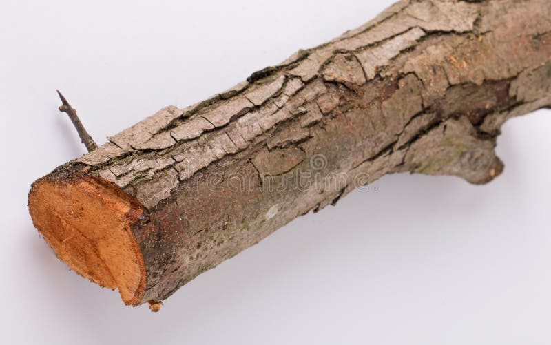 Small Wood Log Prepared To Burn in a Fireplace Stock Image - Image of ...