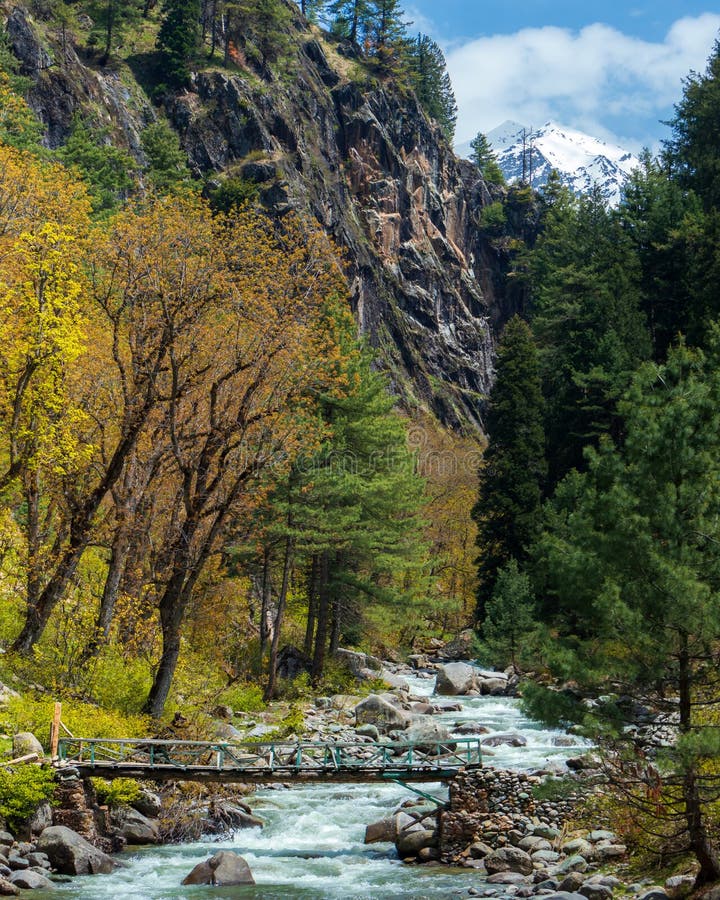 A Small Wooden Bridge Crossing a Stream in Naranag Kashmir Stock Photo ...