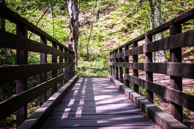 Small wooden bridge stock photo. Image of road, tourism - 145796904