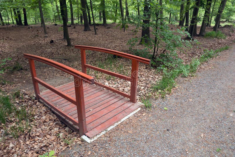 Small Wooden Bridge in the Forest Stock Photo - Image of mountains ...