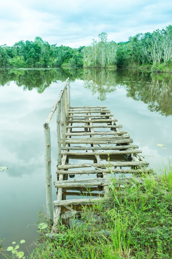 Small Wooden Bridge in Lake with Reflection of Trees Stock Image ...