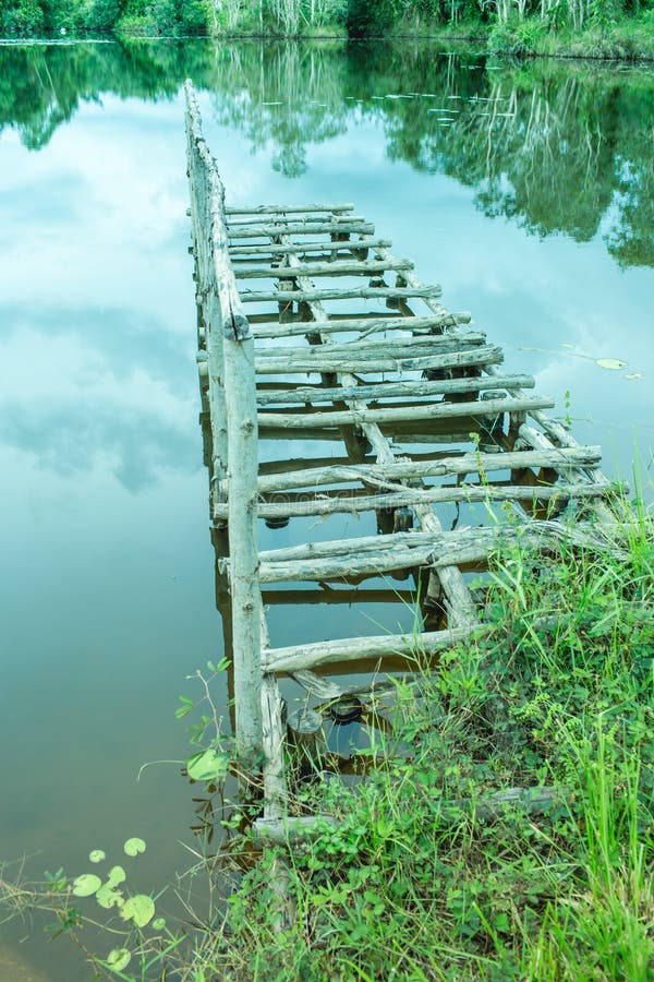 Small Wooden Bridge in Lake with Reflection of Trees Stock Photo ...