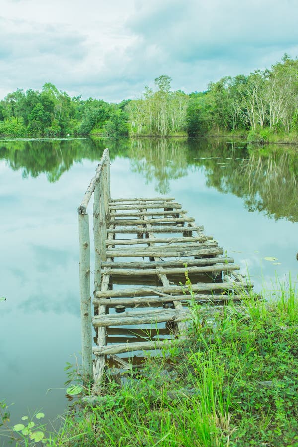 Small Wooden Bridge in Lake with Reflection of Trees Stock Image ...