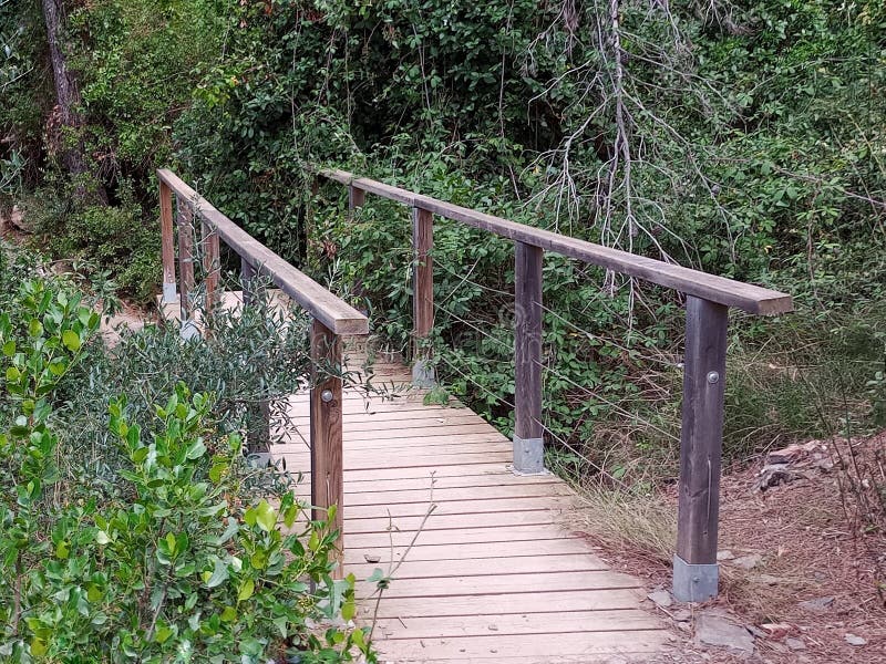 Small Wooden Bridge with Vegetation. Stock Photo - Image of wooden ...