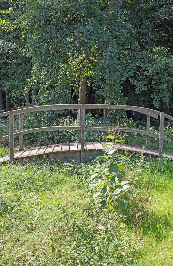 Bridge Over a Brook in a Forest Stock Image - Image of tranquil, quiet ...