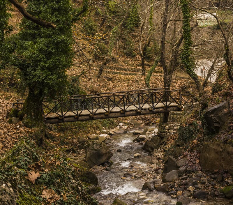 Small Wooden Bridge Over a Stream in Forest at Winter Stock Photo ...