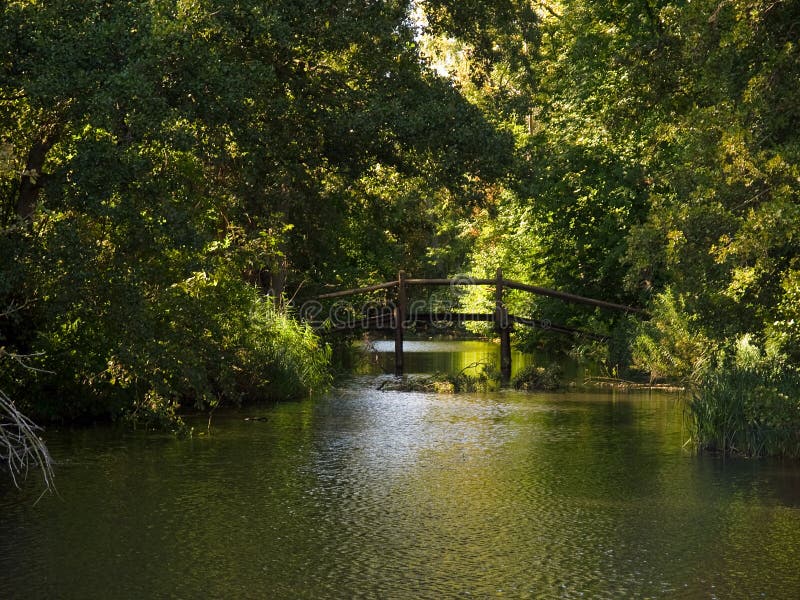 Small Wooden Bridge Over River Stock Image - Image of footbridge ...