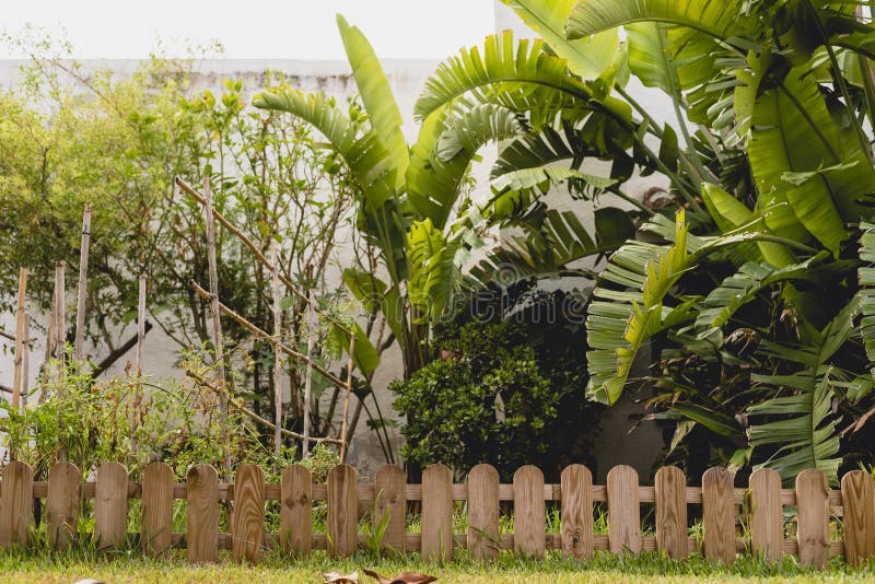 Small Wooden Fence in a Garden Stock Photo - Image of outside, nature ...