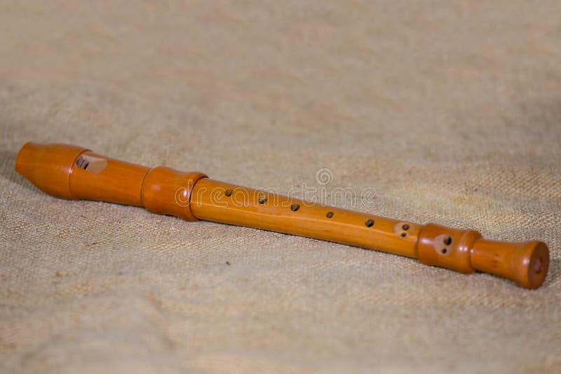 Small boy with flute stock photo. Image of flutes, beauty - 3009900