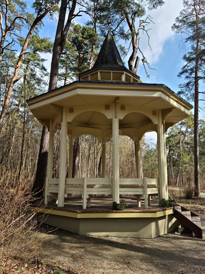 Small Wooden Gazebo for Relaxation is Built among Pine Trees in the ...
