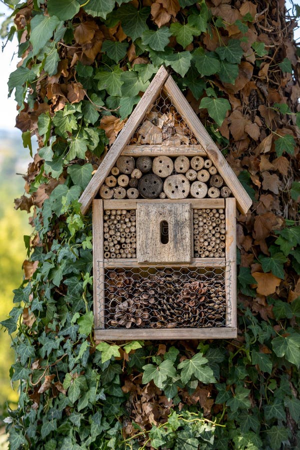 Small Wooden House for Insects in Garden. Stock Image - Image of ...