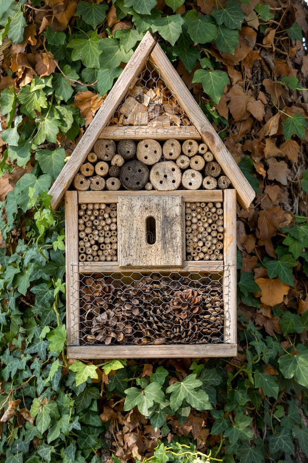 Small Wooden House for Insects in Garden Stock Photo - Image of garden ...