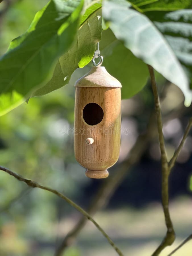 Small Wooden Hummingbird House in a Tree Stock Photo - Image of plant ...