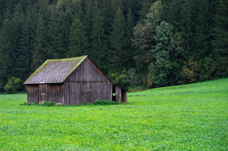A Small Wooden Hut in a Clearing among a Mountain Alpine Forest Stock ...
