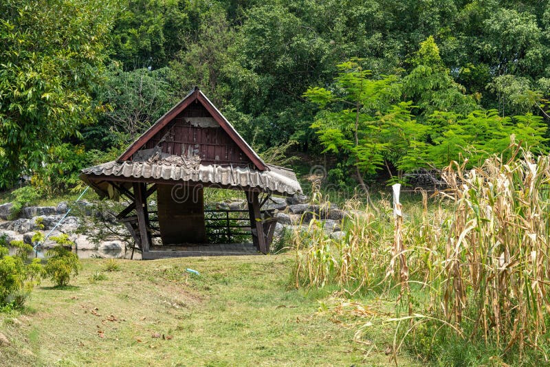 Small Wooden Hut in a Field Surrounded by Trees Stock Photo - Image of ...