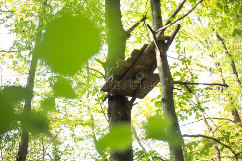Small Wooden Platform in Trees Stock Photo - Image of mountains, garden ...