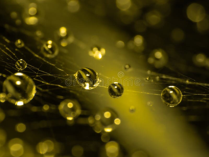 Small World Of The Water Network Picture. Image: 282539872