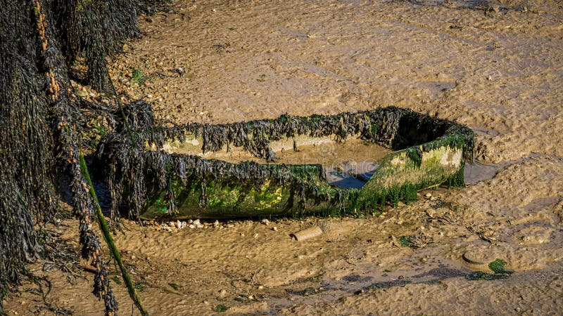 Wreck of a Boat Overgrown with Algae in the Harbor at Low Tide Stock ...