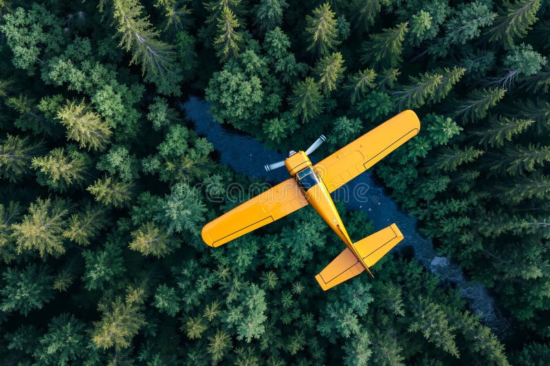A Small Yellow Airplane Flying Over a Forest Filled with Trees Stock ...