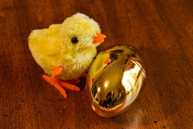 Small Yellow Baby Chick with a Golden Easter Egg on a Wood Table Stock ...