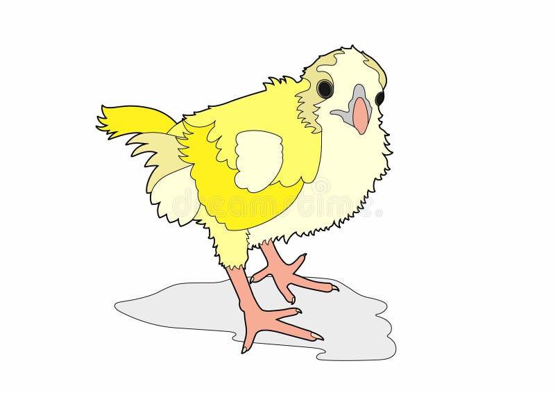 Bird Fledgling Stock Illustrations – 467 Bird Fledgling Stock ...