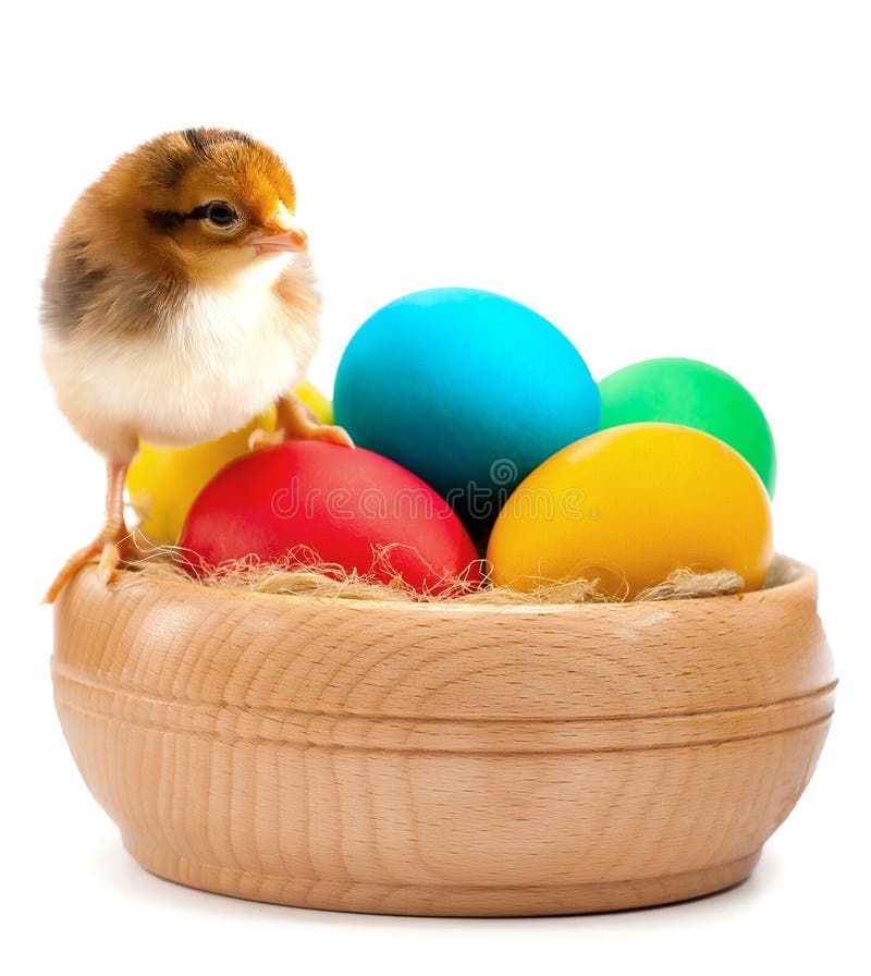 Small Yellow Chick with Easter Eggs. Isolated Stock Image - Image of ...