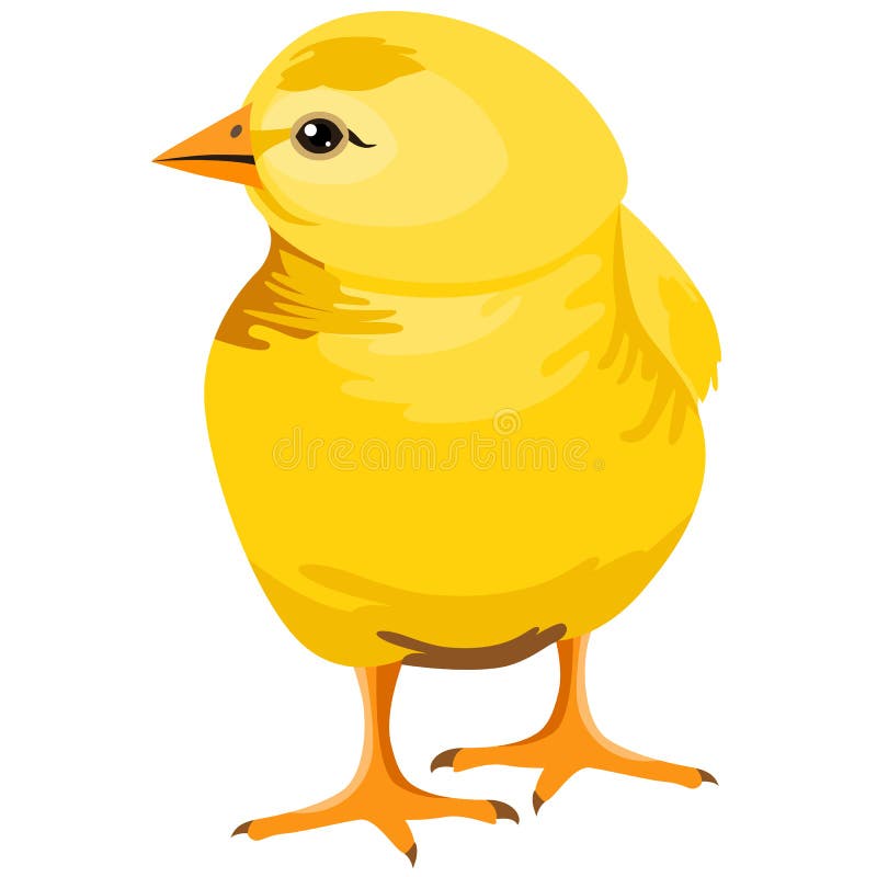 Yellow chicken stock illustration. Illustration of holiday - 29916309