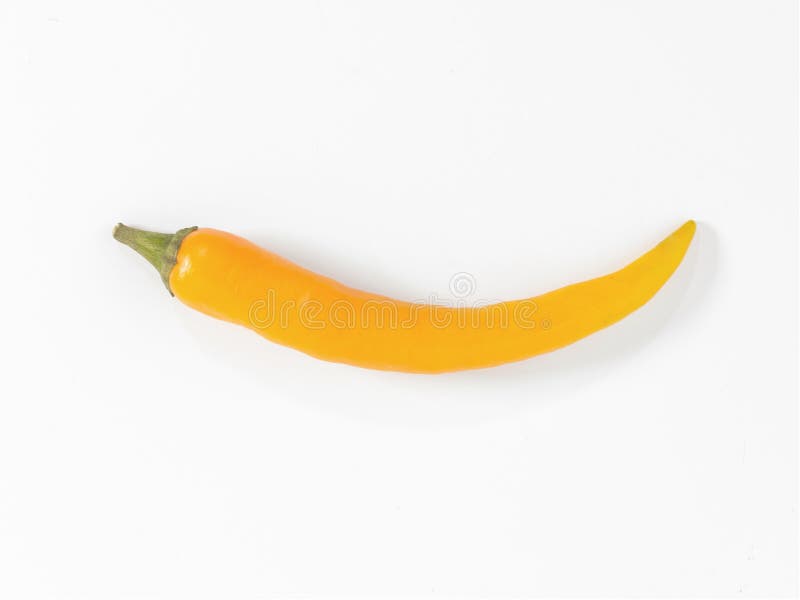 Yellow Chilli stock photo. Image of studio, chilie, fresh - 14747936
