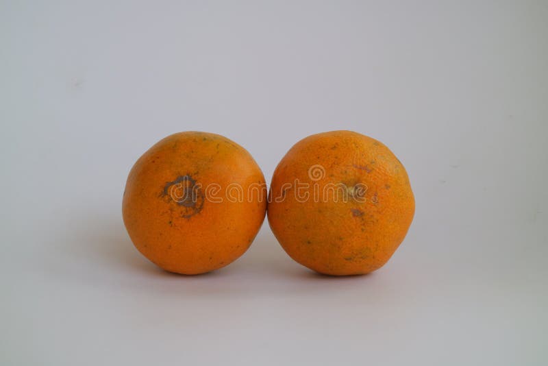 Small Yellow Color of Fresh Orange Fruit Stock Image - Image of natural ...