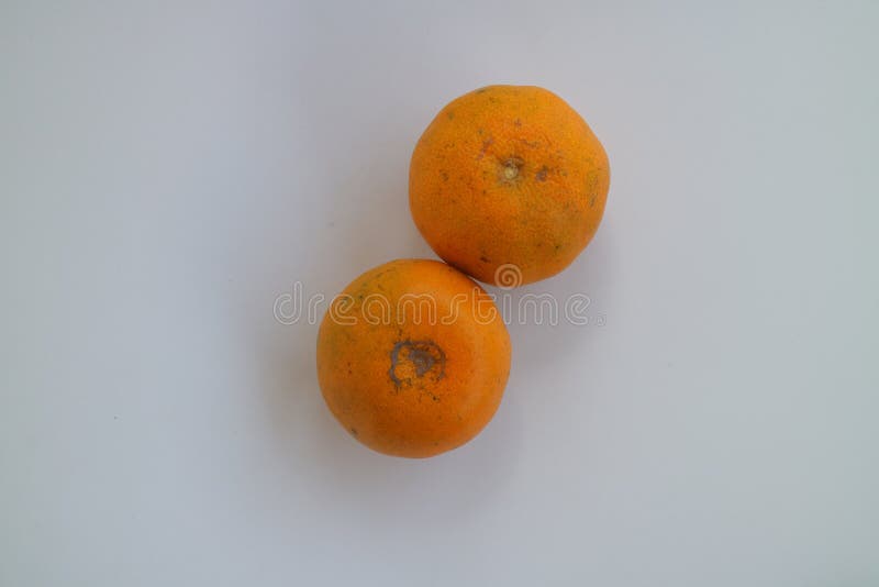 Small Yellow Color of Fresh Orange Fruit Stock Image - Image of health ...