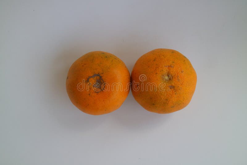 stock image. Image of green, health, natural, citrus - 228432831