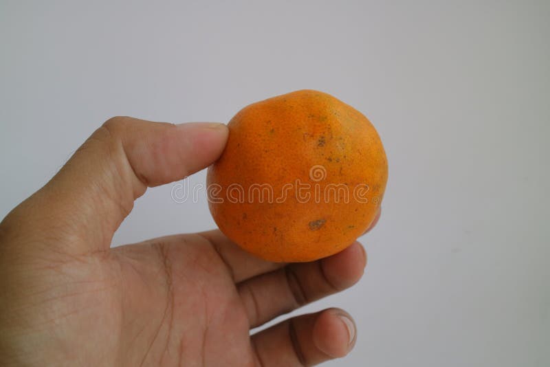 Small Yellow Color of Fresh Orange Fruit Stock Image - Image of isolate ...