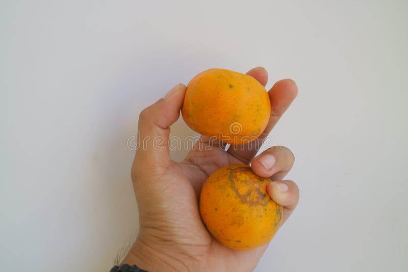 Small Yellow Color of Fresh Orange Fruit Stock Photo - Image of ...